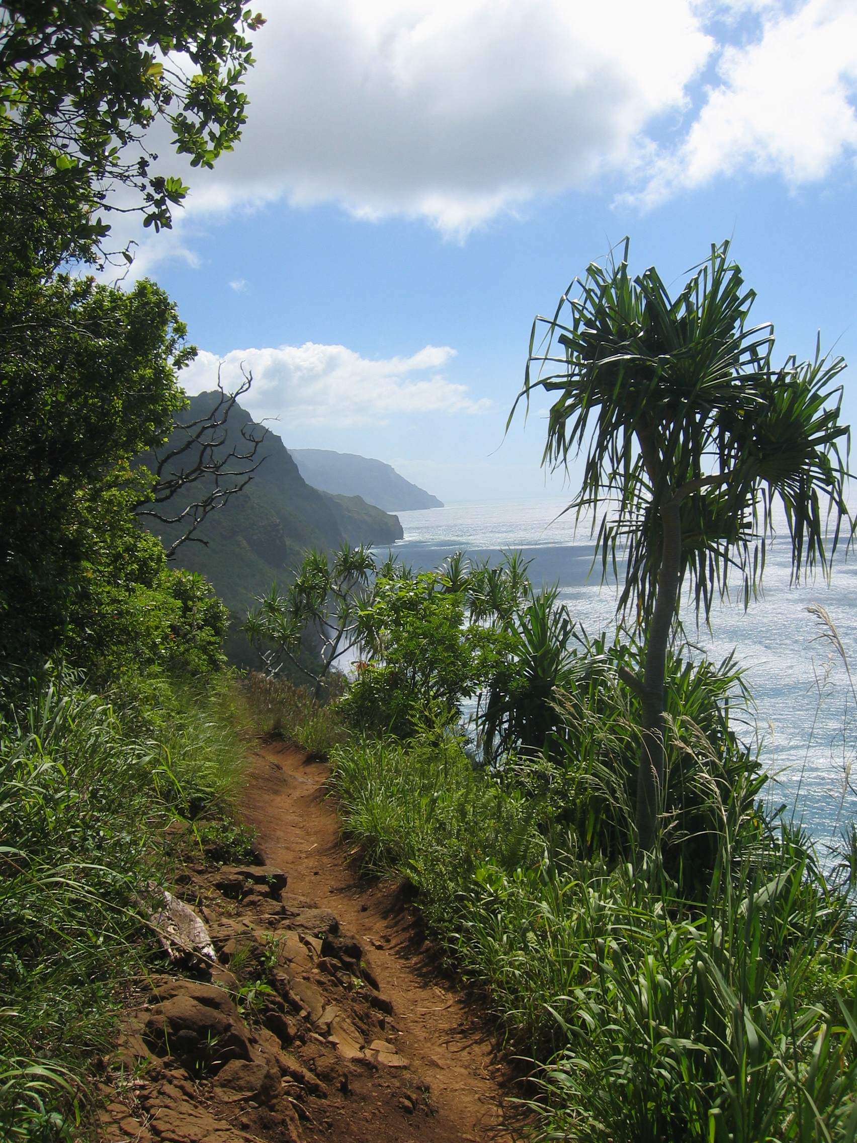 10 most advanced hiking trails in the US & 10 everyone should try