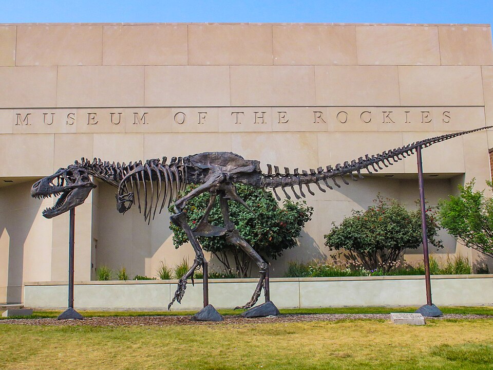 17 best family trips in the US for dinosaur museums and fossil stops