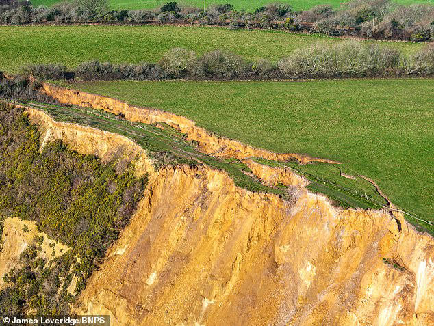 Thousands of tonnes of rock slump onto Dorset beach weeks after 300ft ...