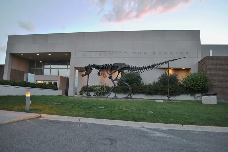 17 small town museums with big displays kids actually like