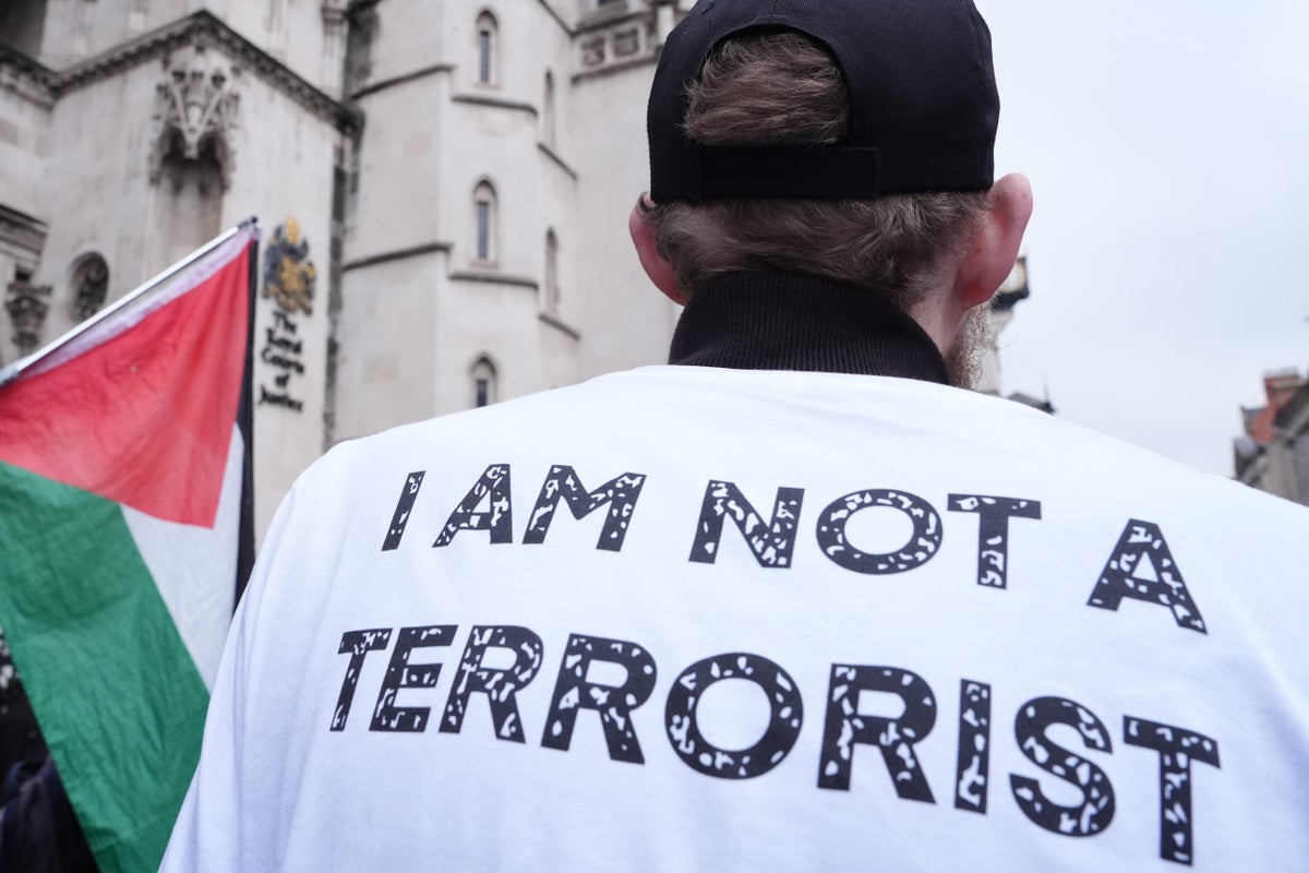 Labour MPs urge government not to appeal against Palestine Action ruling