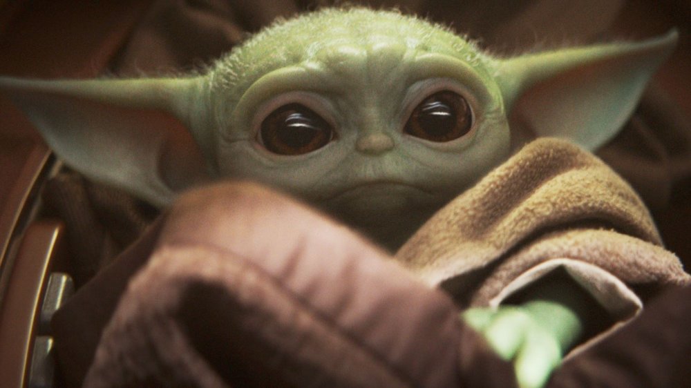 Everything we know about Yoda's species