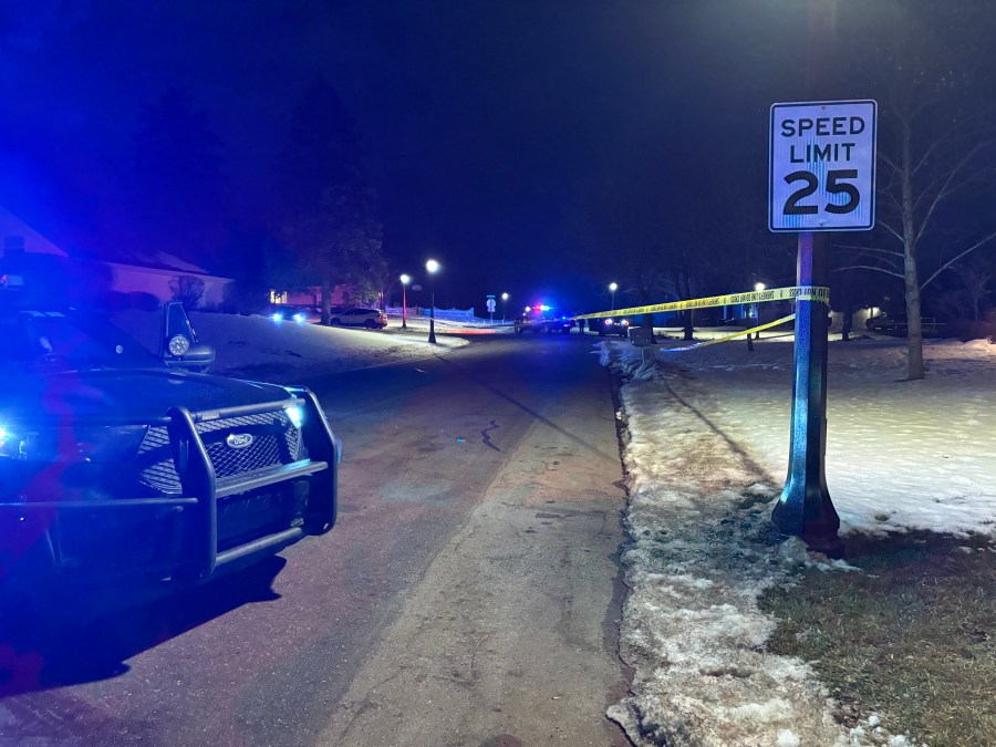 Sheriff investigating homicide in Delta Twp. after active shooter incident