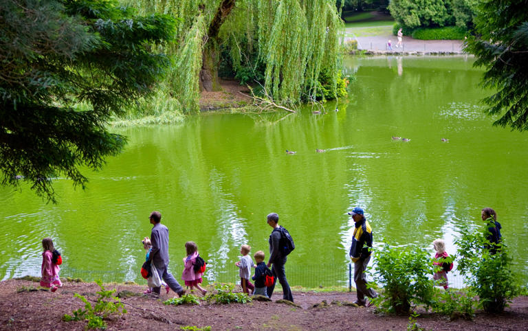 4 in 10 young Oregon children aren’t ready for kindergarten, 3rd worst ...