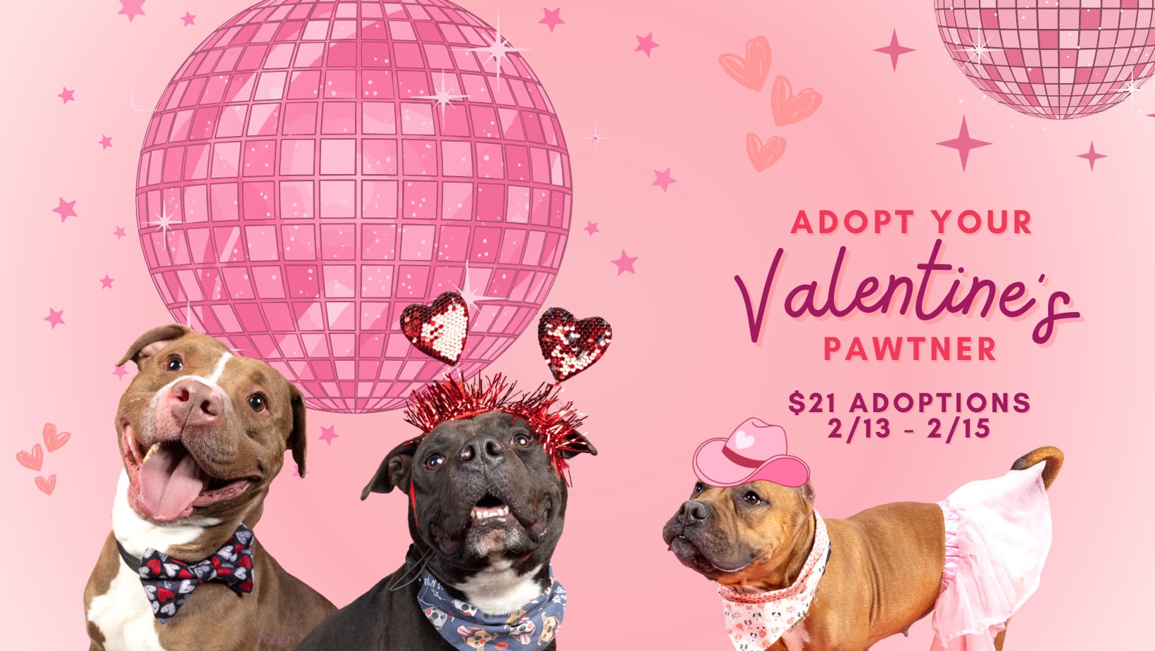 Adopt your Valentine 'Pawtner' for just $21 at City Dogs Cleveland this ...