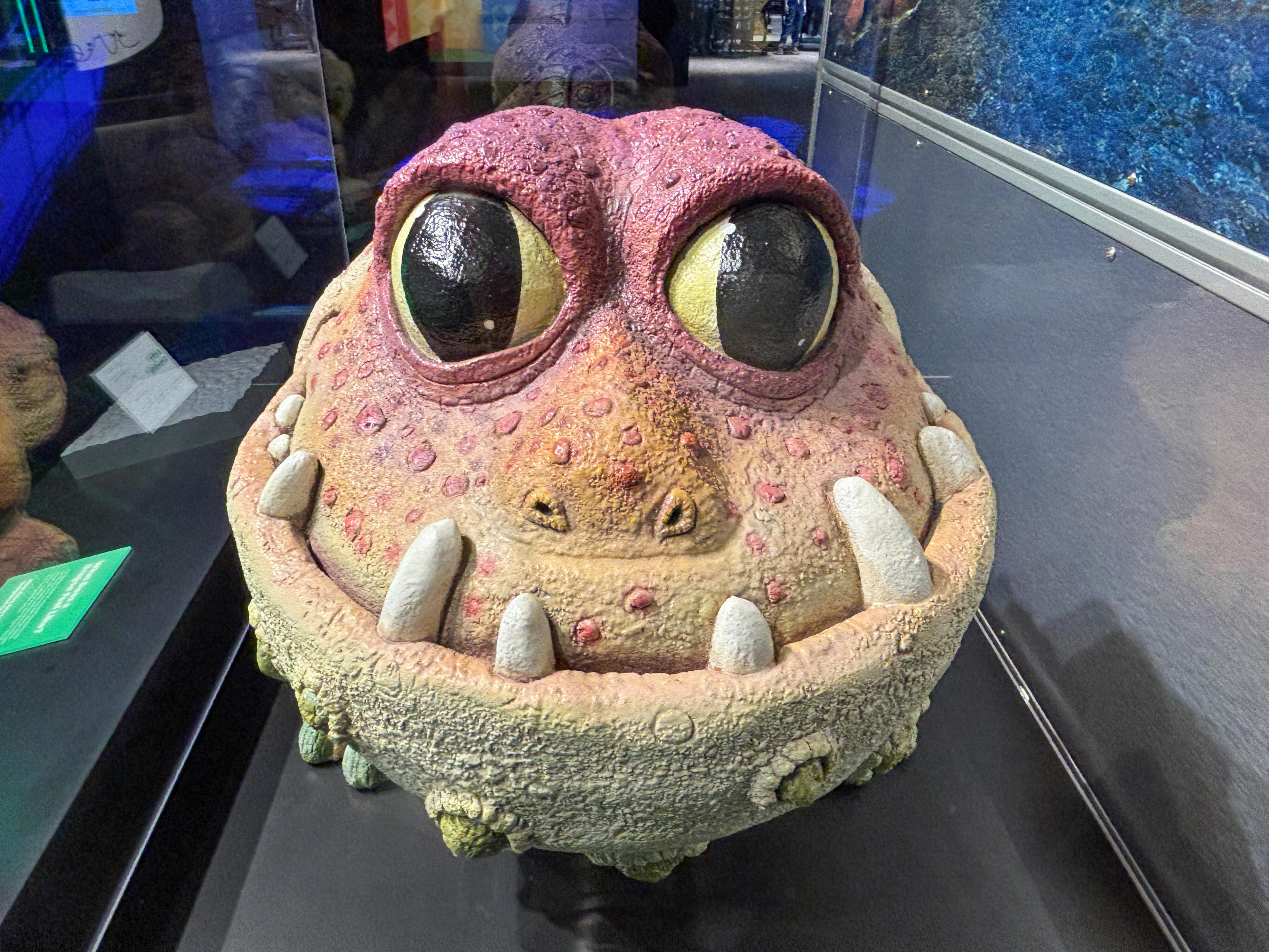 A sneak peek inside the Franklin Institute’s new Universal theme parks ...