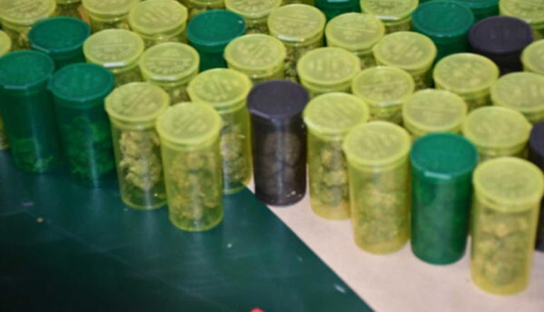 $222K in illegal THC, cannabis seized in massive Maryland vape shop ...