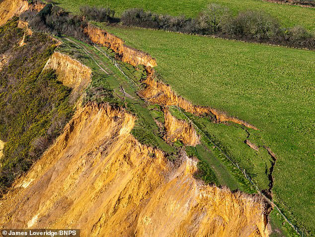 Thousands of tonnes of rock slump onto Dorset beach weeks after 300ft ...