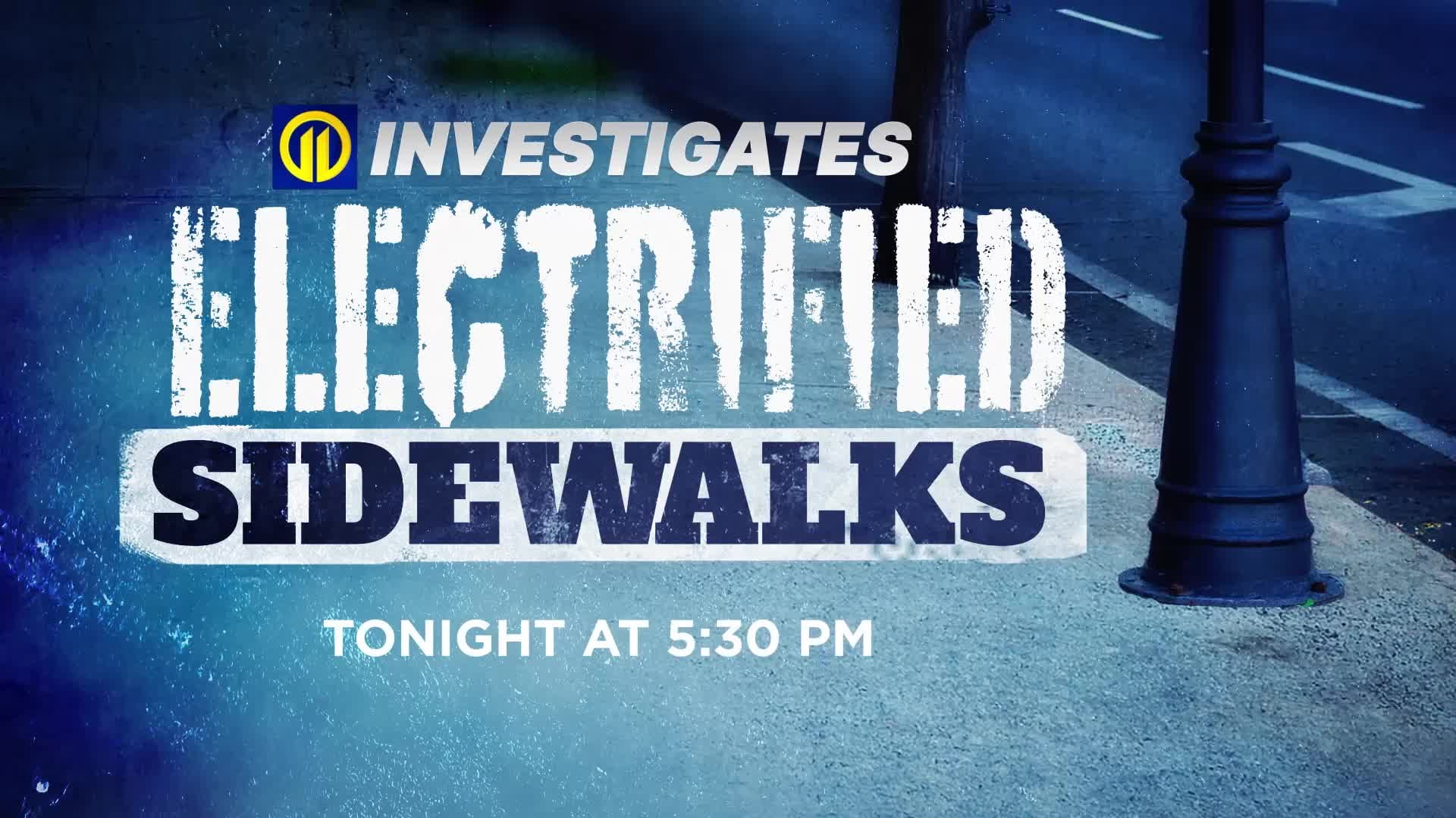 11 investigates electrified sidewalks after multiple dogs shocked ...