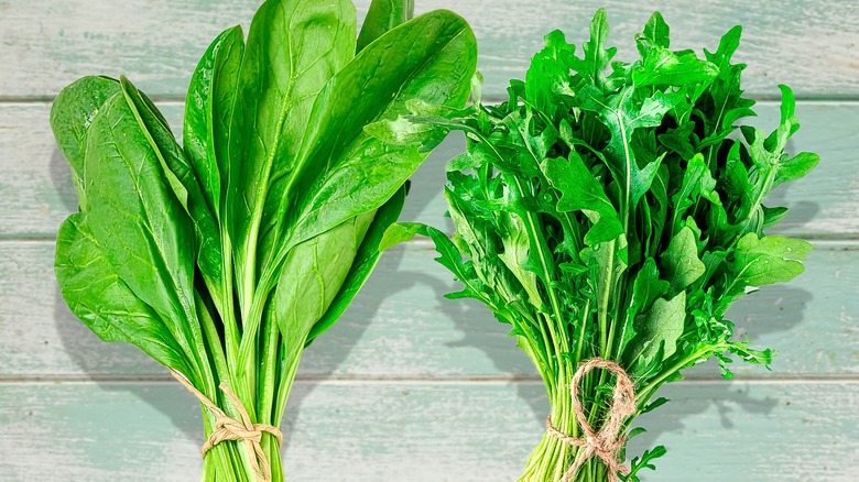Spinach vs arugula: The difference that you can taste