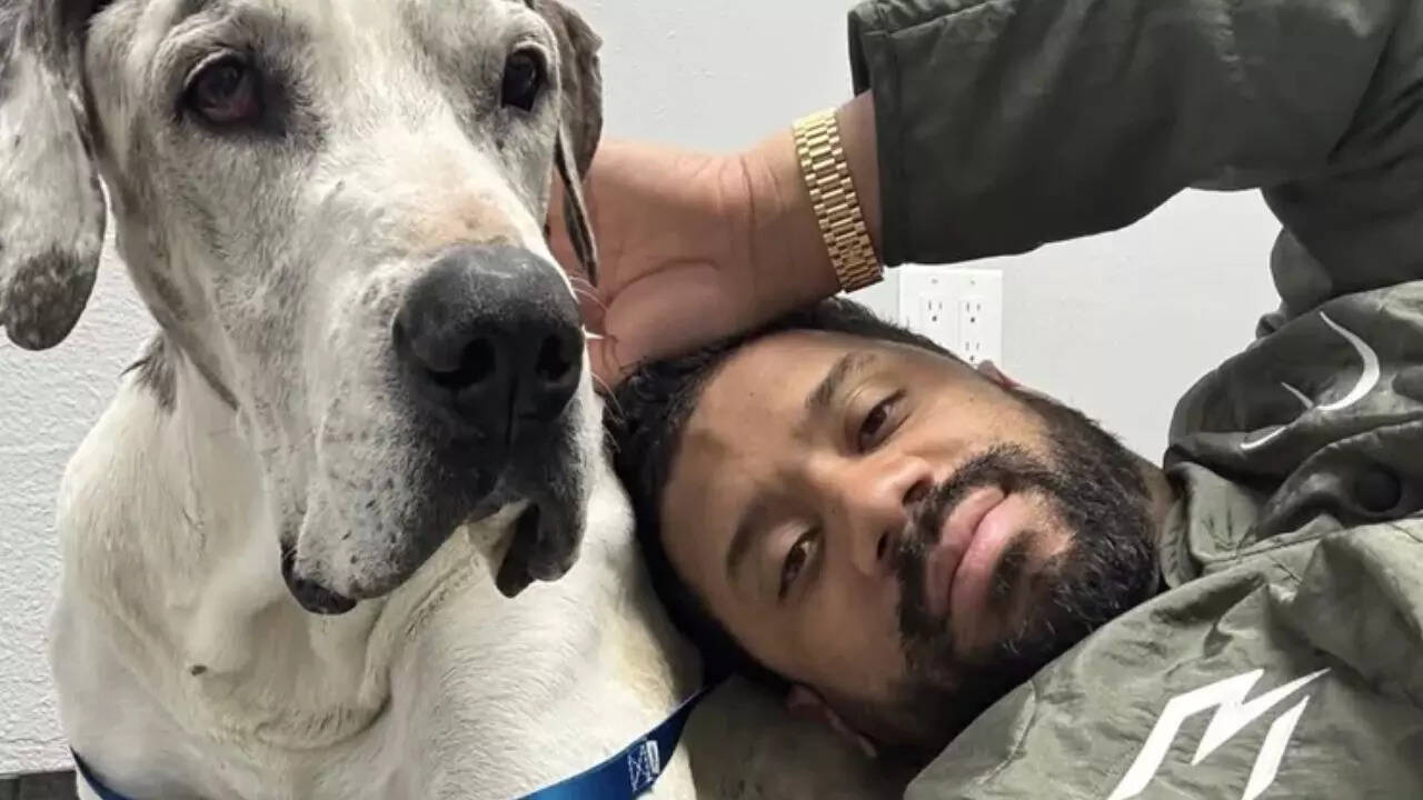 12 years of loyalty: Russell Wilson heartbroken again as beloved dog ...