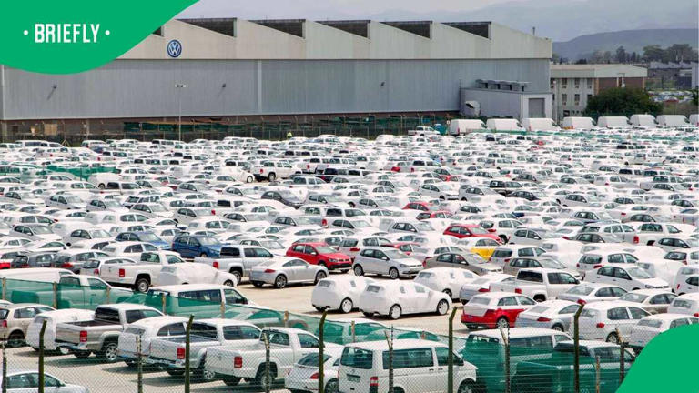 Parliament committee chair warns VW’s 30-year Kariega legacy at risk ...