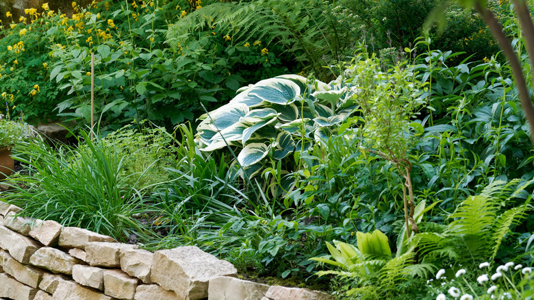 The retaining wall trend you won't see in 2026 (and that's the point)