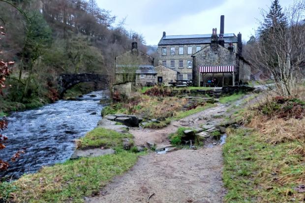 Explore the moors through pretty woodland in this wonderful weekend walk