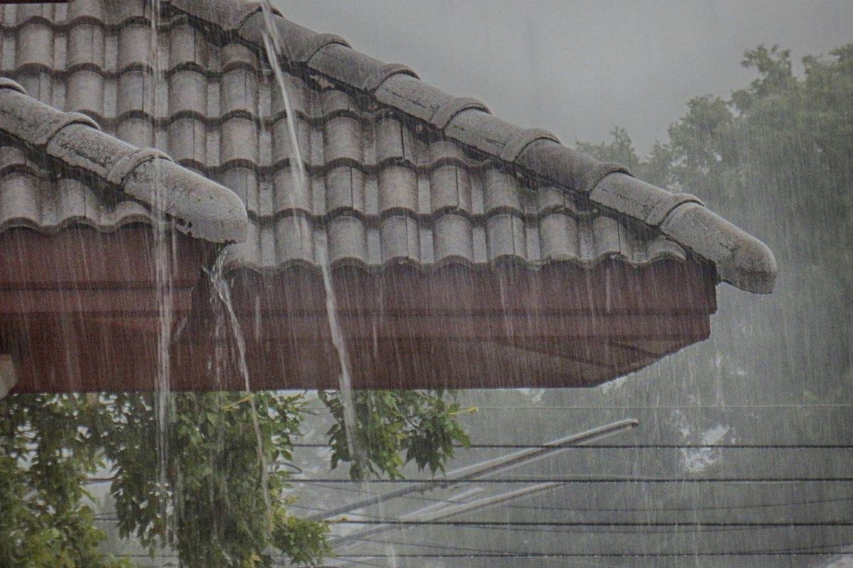 Weather: Rain and isolated showers expected in several parts of SA