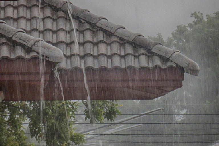Weather: Rain and isolated showers expected in several parts of SA