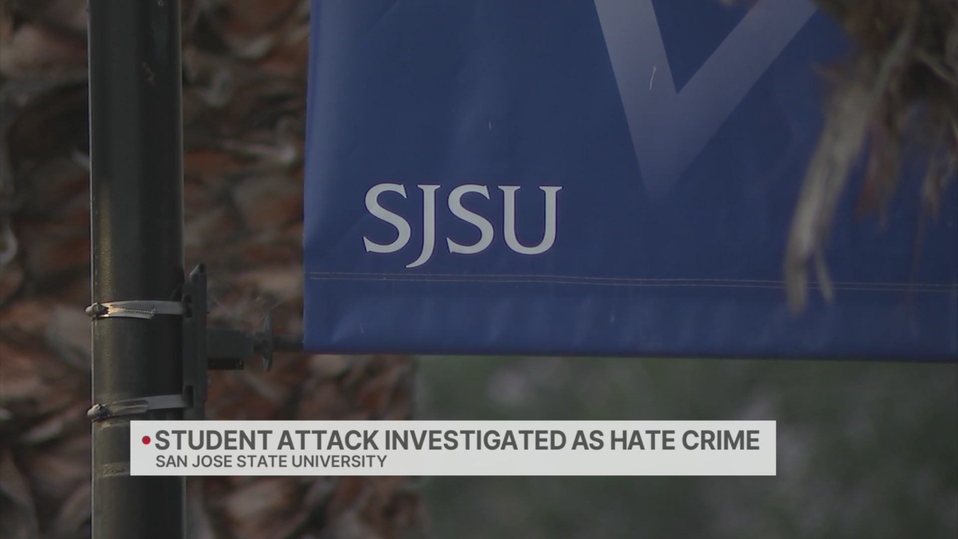 Student attack at SJSU investigated as hate crime
