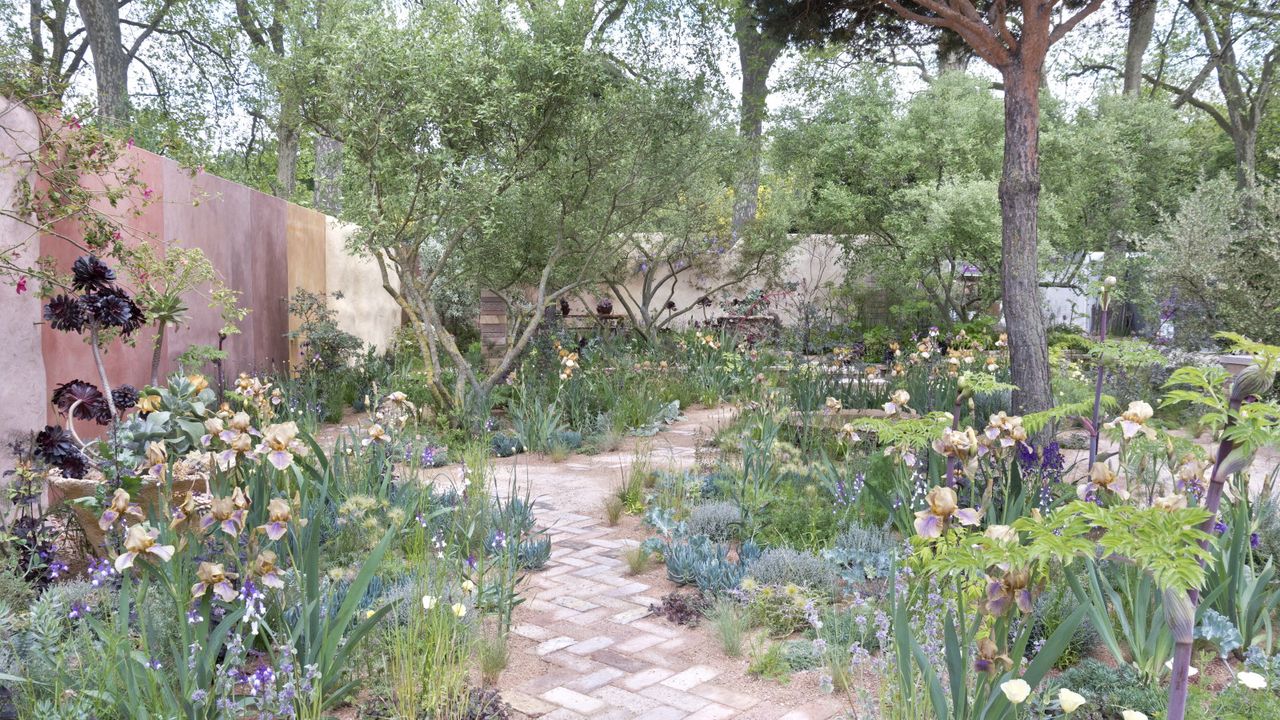 These 7 sun-loving plants will transform any small yard into a ...