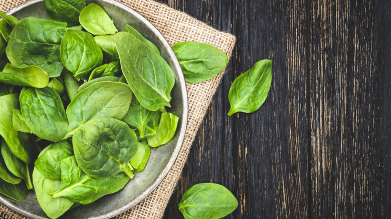 Spinach vs arugula: The difference that you can taste