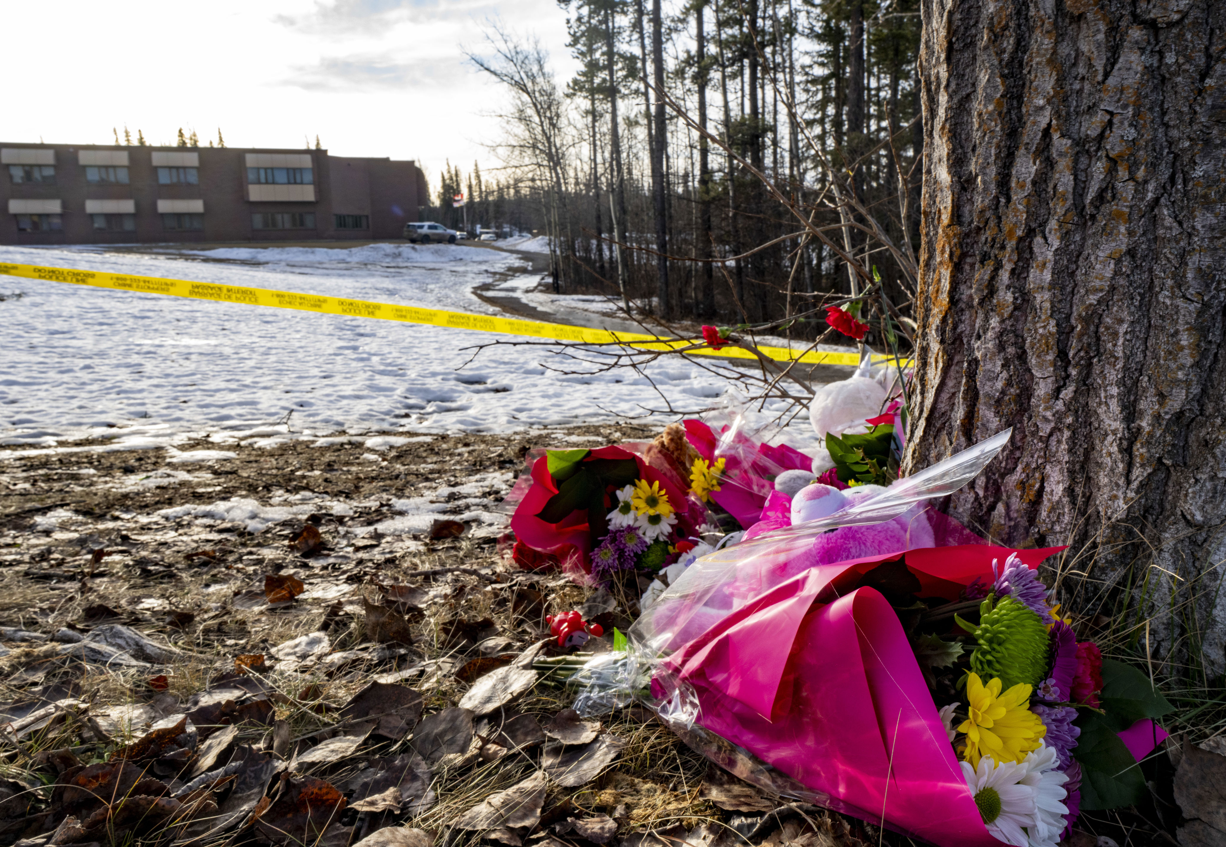 RCMP reveal gun details in Tumbler Ridge, BC., mass killing