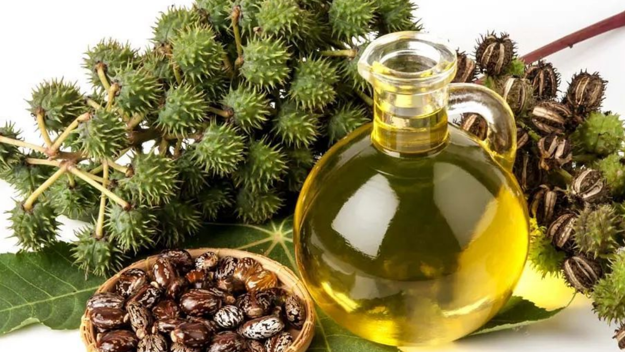 5 best natural home remedies for thick eyebrows