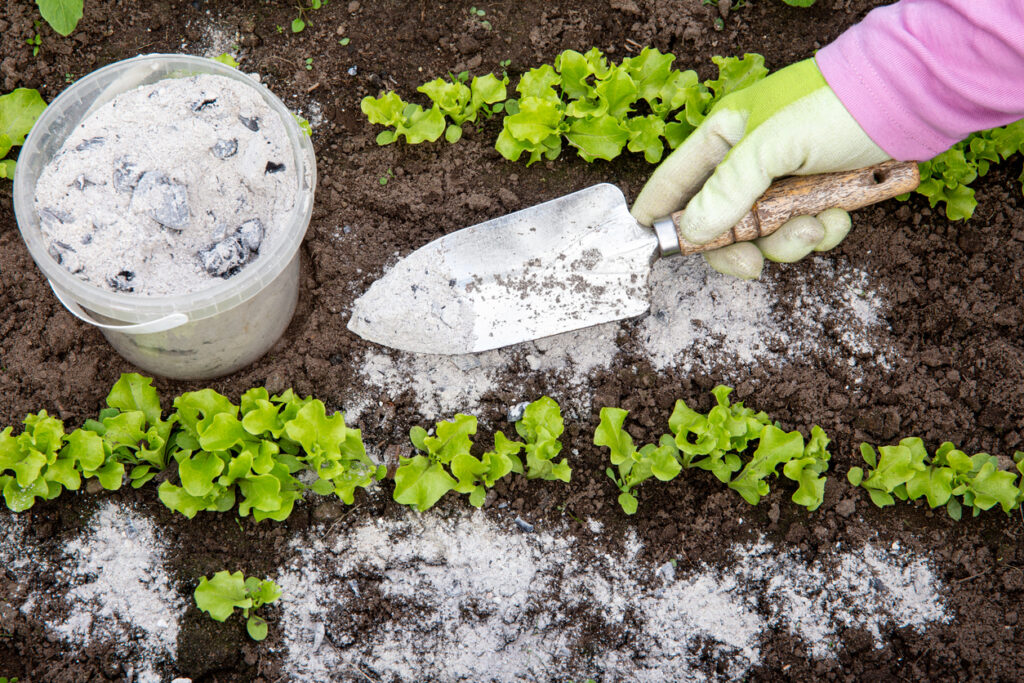 21 smart uses for wood ash in your garden and home