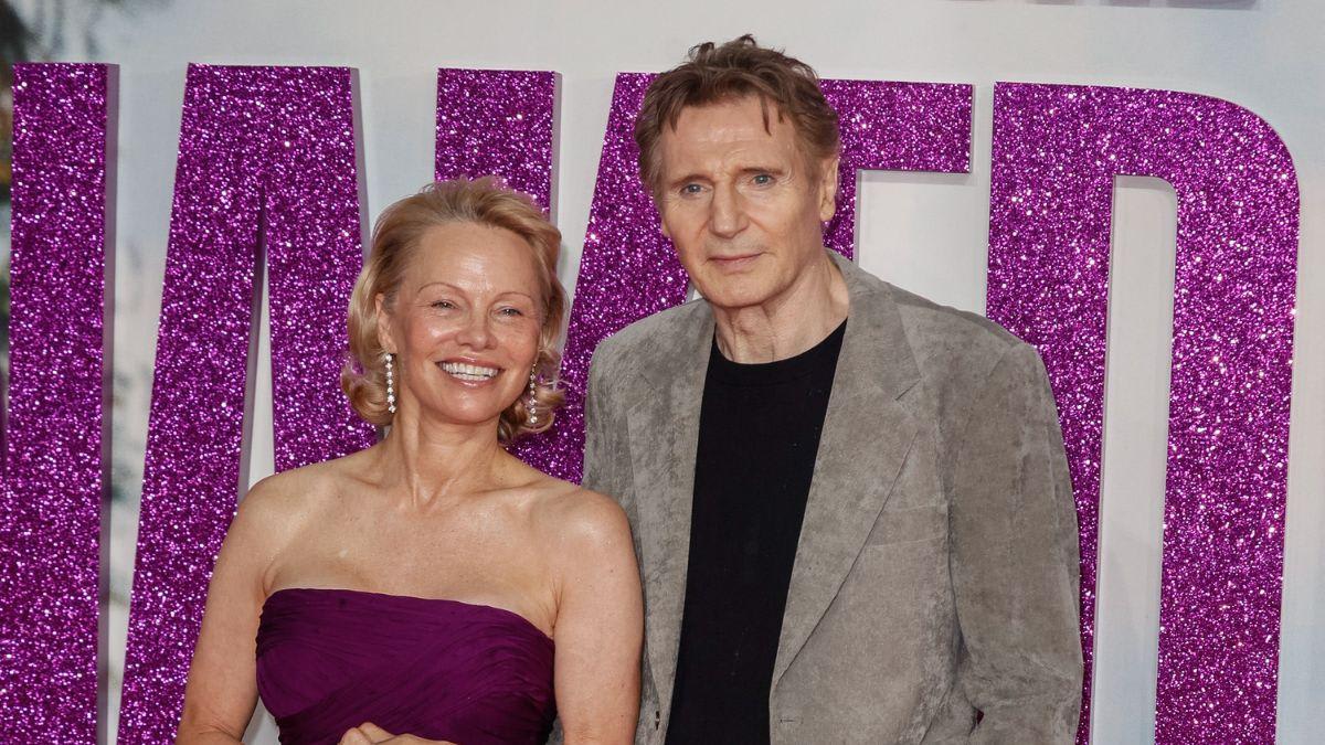 Why 'lonely' Pamela Anderson would 'jump at the chance' to reignite ...