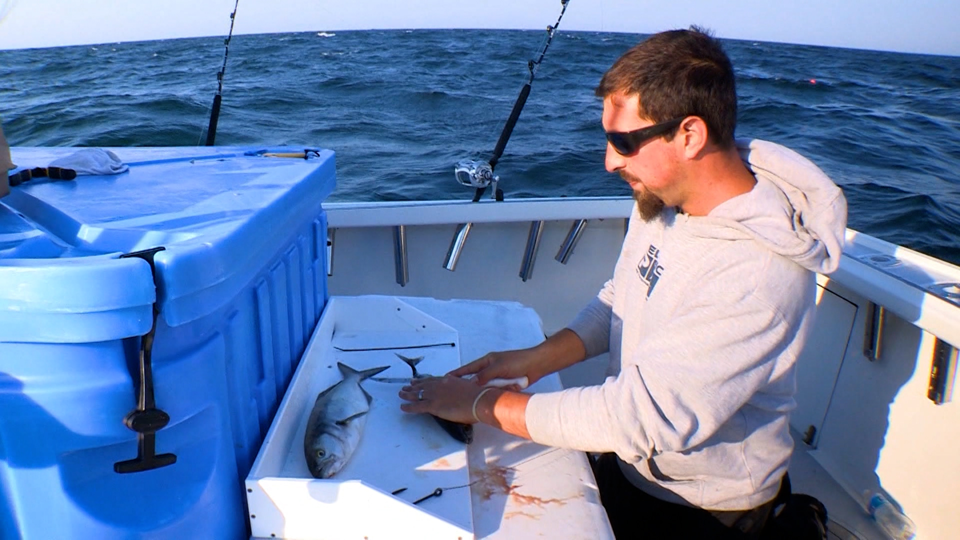 Extreme dual hunt targets giant Alaskan salmon and deadly thresher sharks