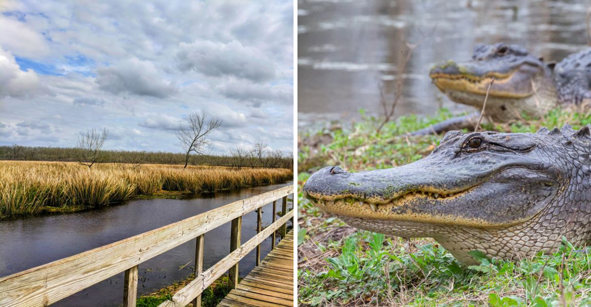This scenic state park in Texas feels like paradise for nature lovers