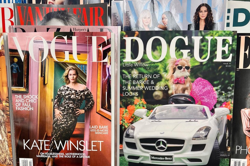 Dogue-fight: Vogue sues tiny dog magazine in David and Goliath war