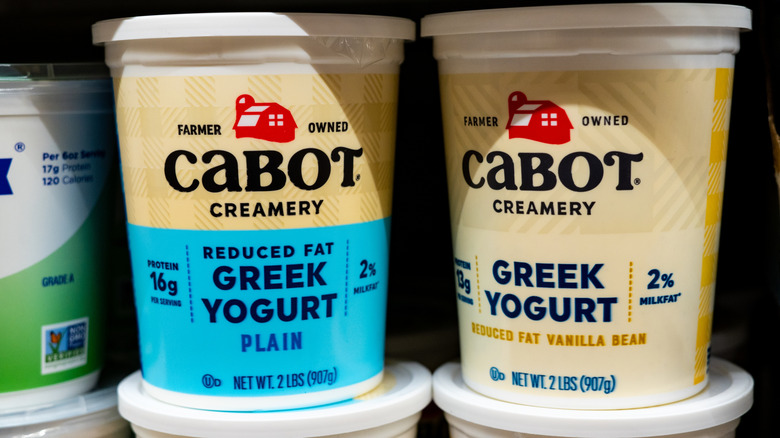 The clever way you should be reusing empty yogurt containers in your garden