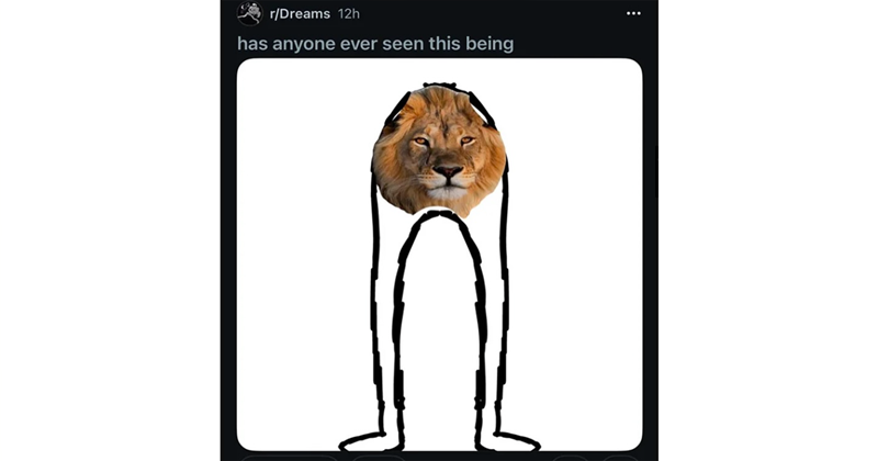 The funniest Reddit posts of the week