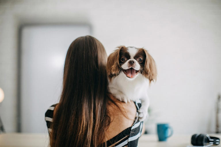 7 signs your dog feels loved and accepted, via a trainer