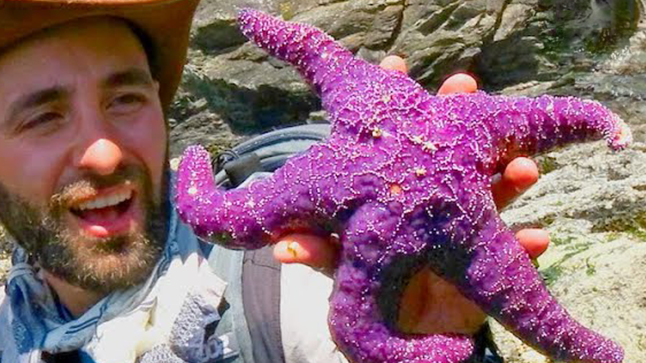 Exploring the ocean’s strangest sea creatures