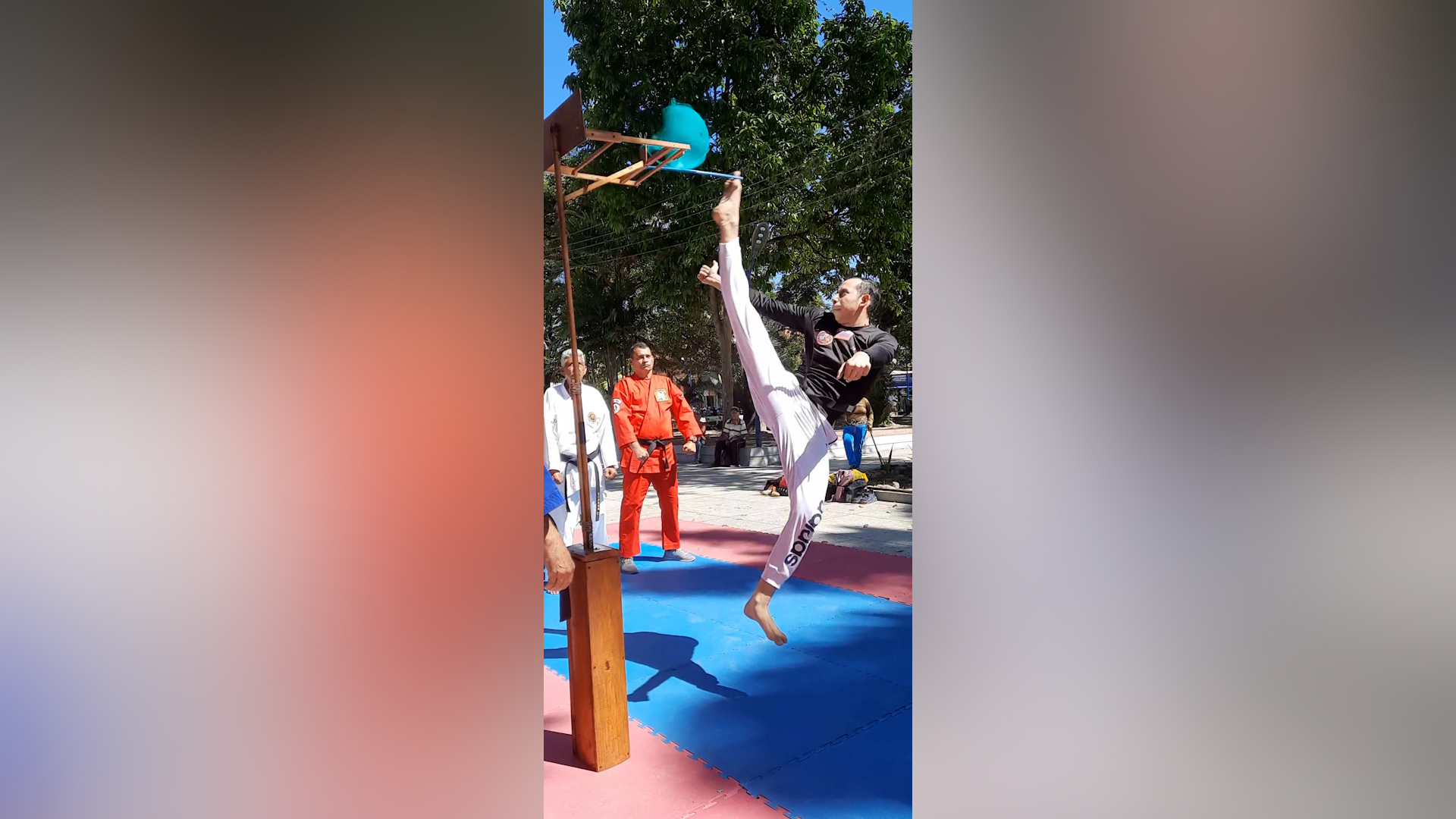 Highest unassisted martial arts 360 kick 2.23 metres (7 ft 3 in) by ...
