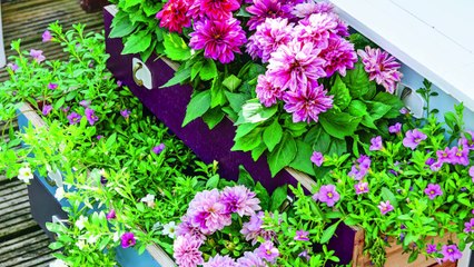 Easy DIY projects around the home