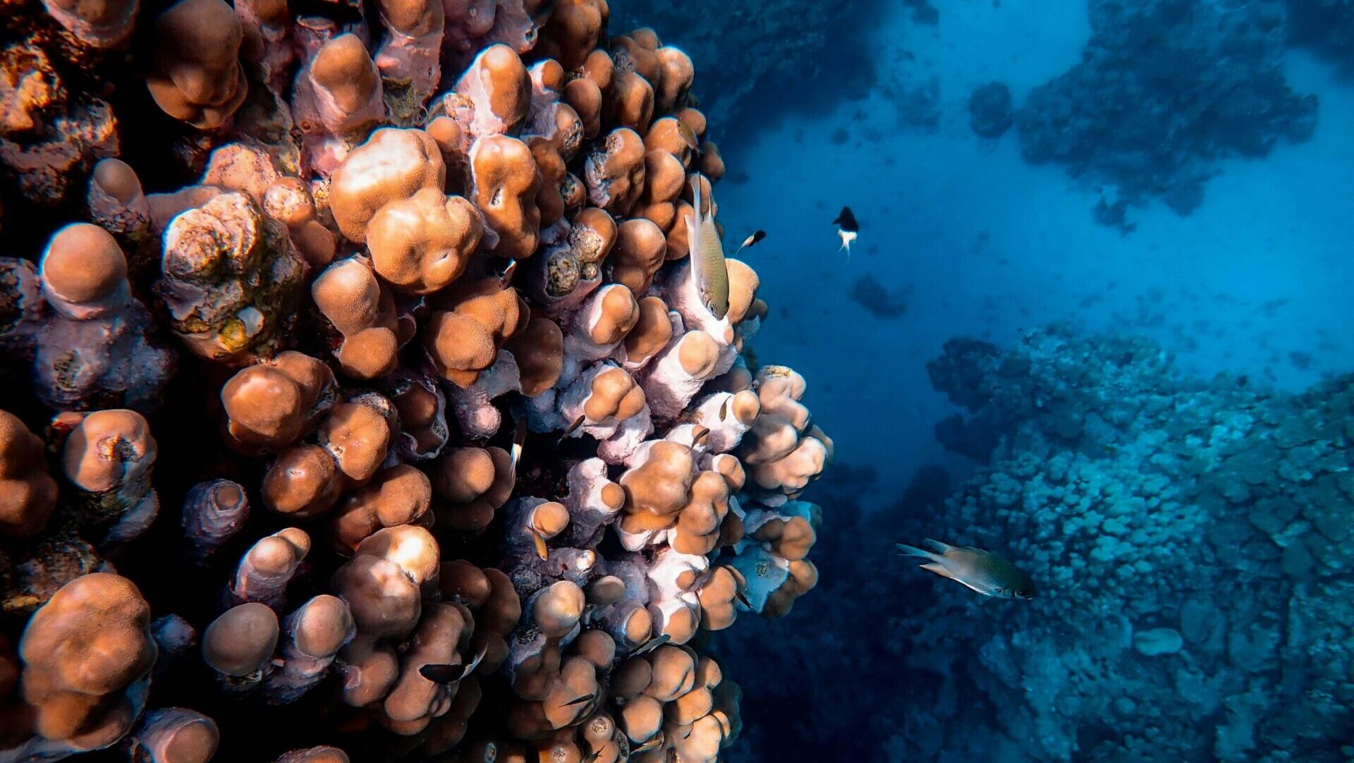 Scientists discover hidden biological activity deep beneath Earth that ...