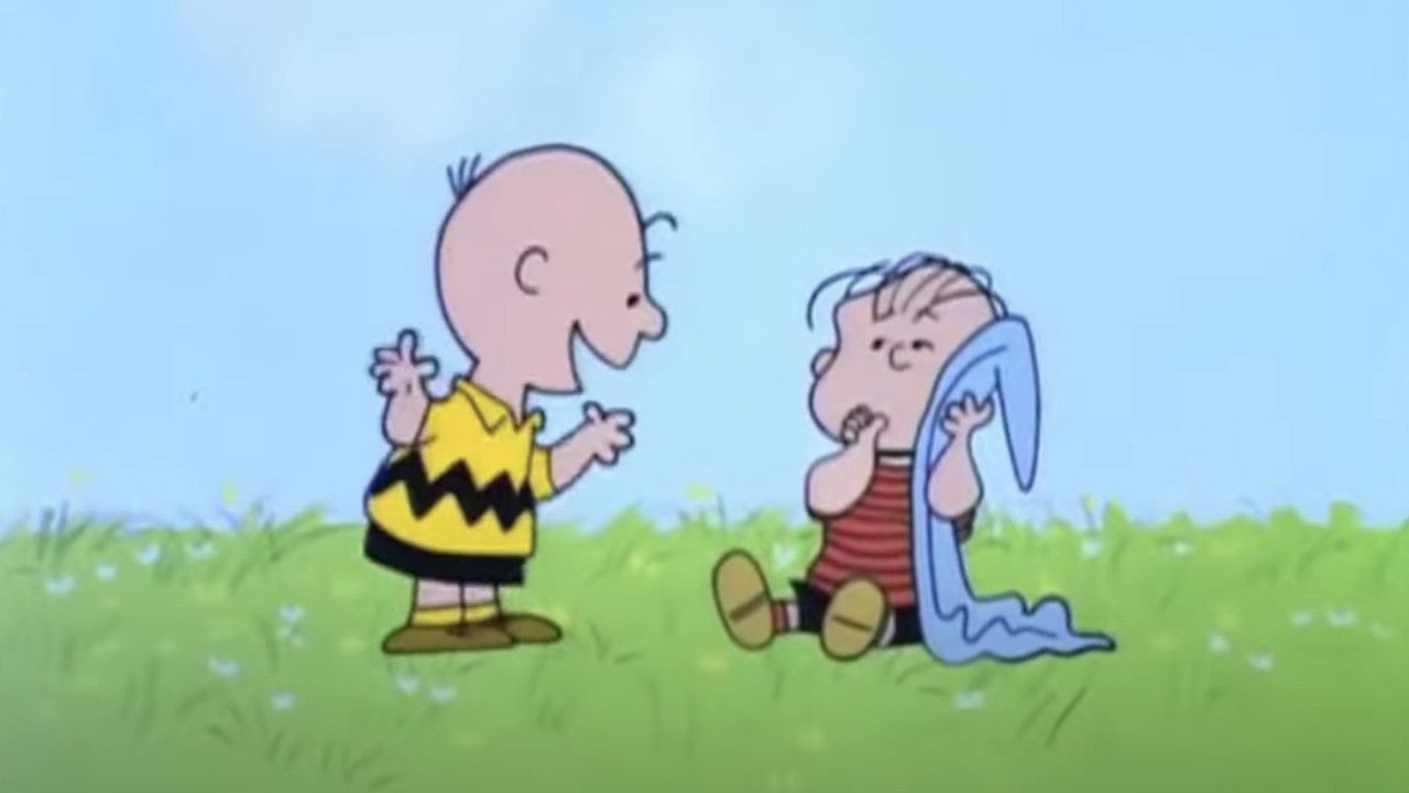 Cartoon shows and movies someone at any age could watch