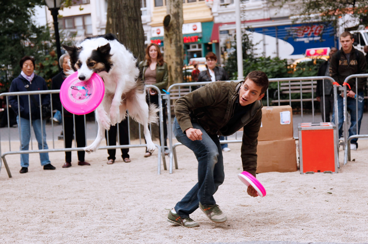 Famous dog trainer has colon cancer