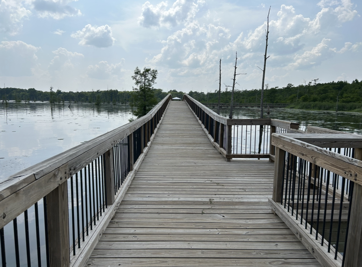 13 Louisiana bayou boardwalk parks for short walks and swamp views