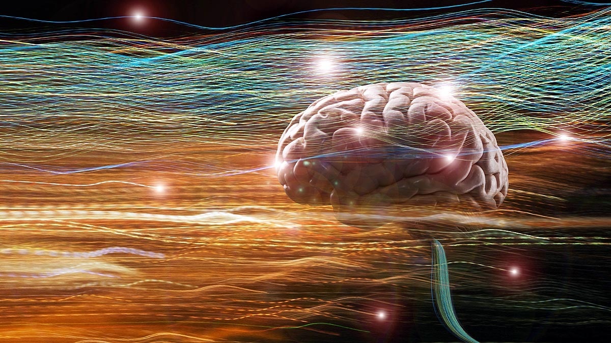7 Japanese techniques that naturally sharpen memory and focus