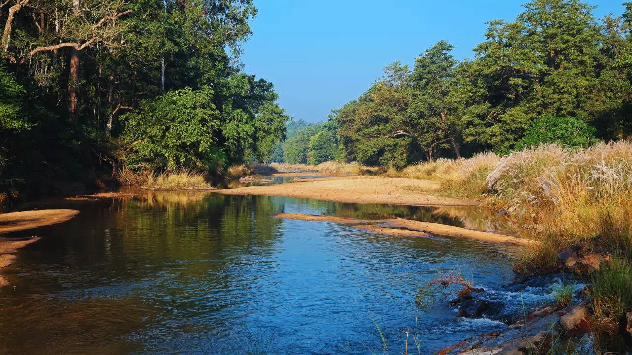 5 important rivers that pass through Indian national parks
