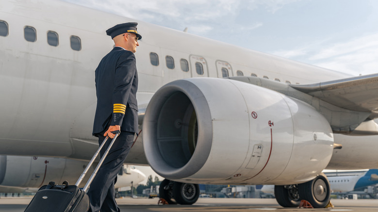 Where do pilots sleep on long-haul flights?