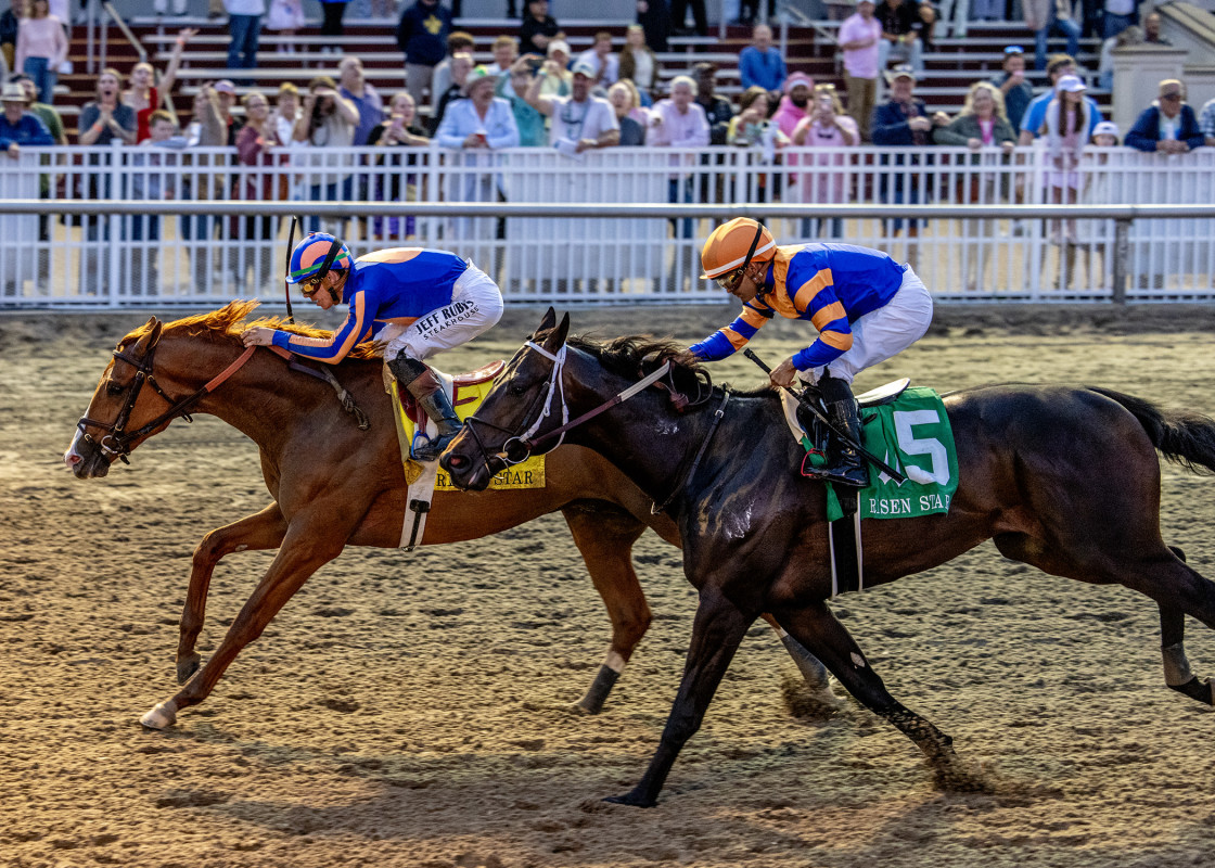 Bloodlines presented by Walmac Farm: A tale of three sale grads in the ...