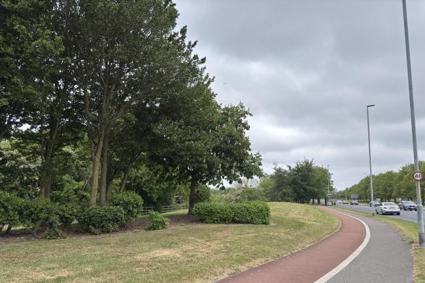 'Rat run' fears vs 'end of Tesco monopoly': Residents react to new Lidl ...