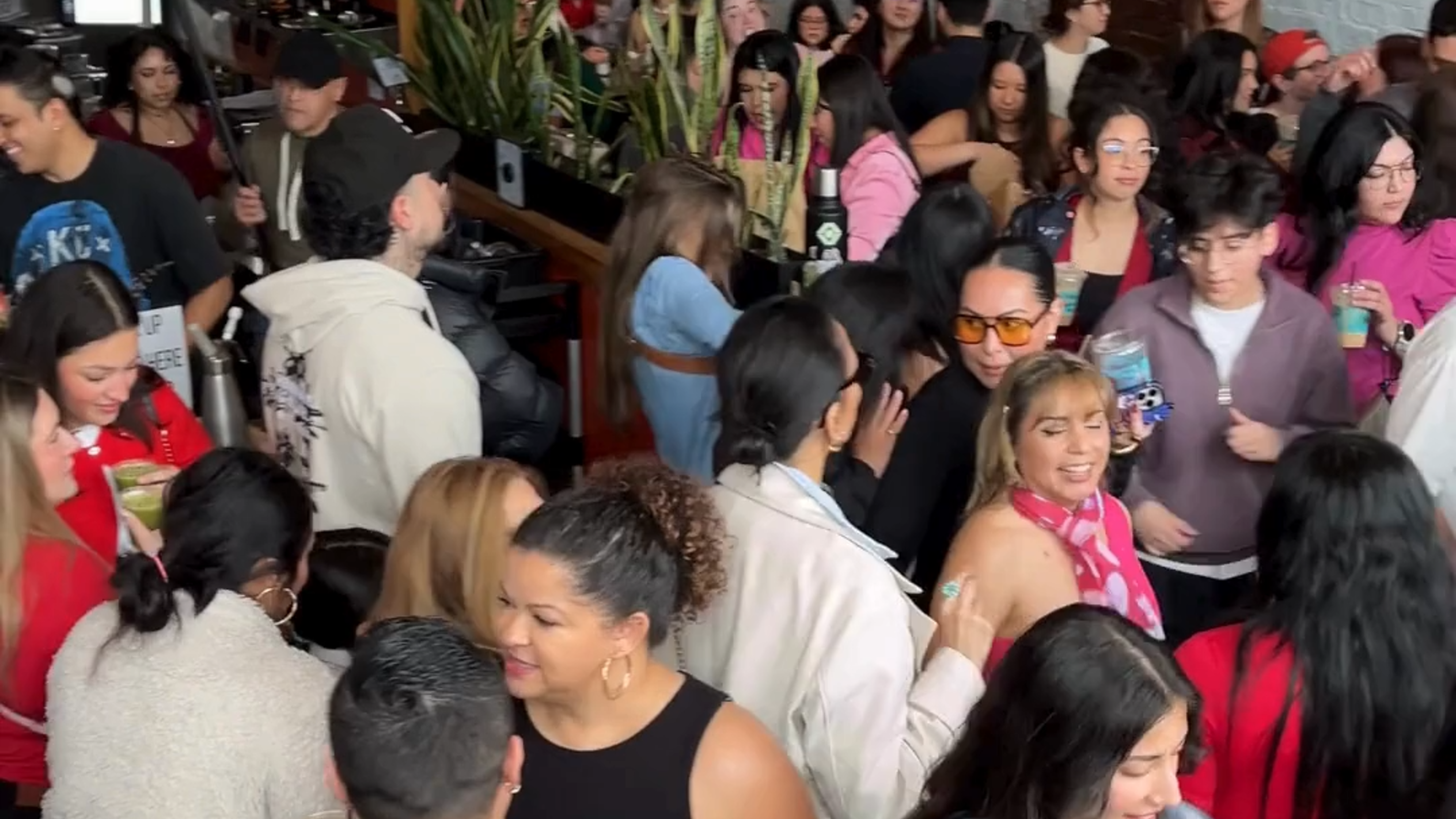See Café Corazón's Valentine's party featuring a Bad Bunny look-alike ...