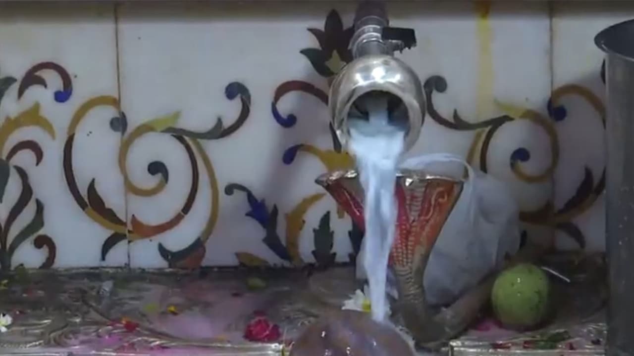 Mahashivaratri: Devotees throng temples across Delhi to offer prayers