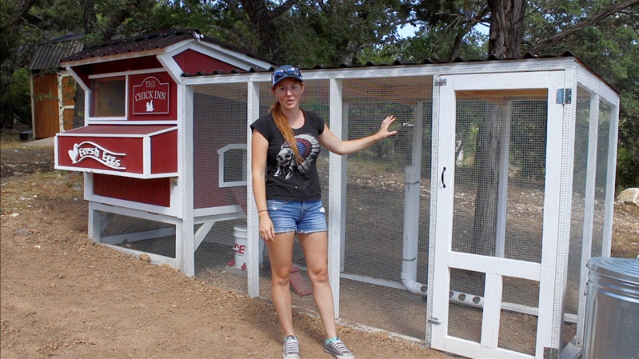 Build a DIY predator-proof chicken coop run the easy way