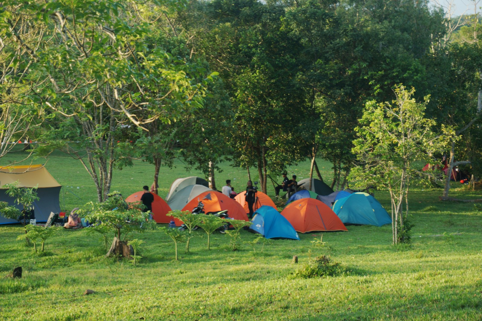 13 wild camping animals that aren’t as dangerous as you think