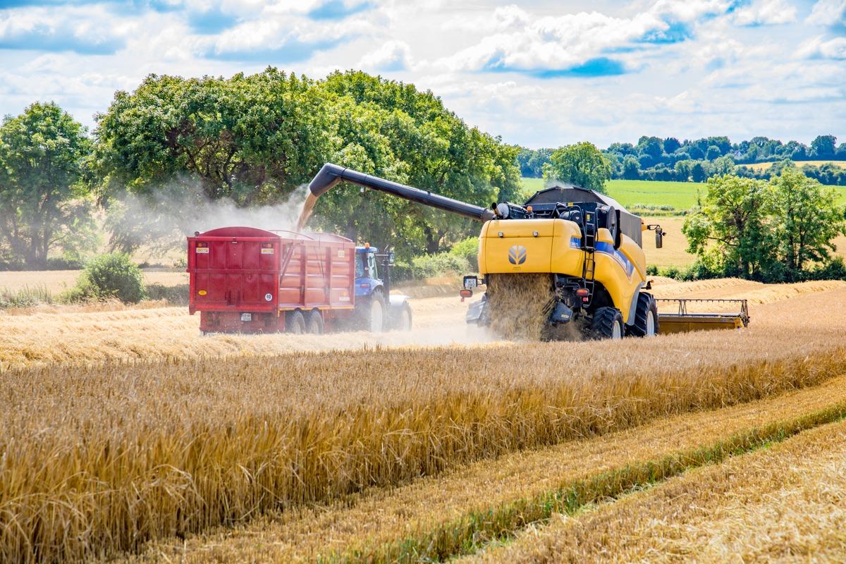 AHDB publishes updated cereal supply and demand figures for the UK market